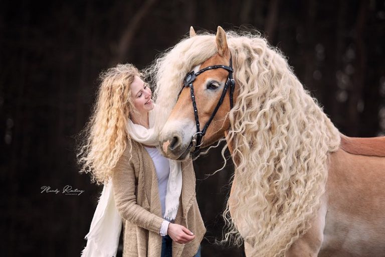 “Storm” The Haflinger Mare From The Netherlands That Looks Like The “Rapunzel Of Horses”